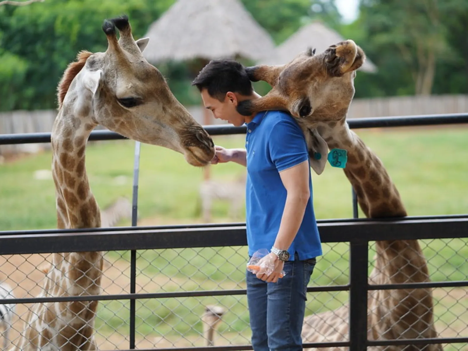 Luxury Hotel Khaoyai | Lacol Khaoyai Experiences