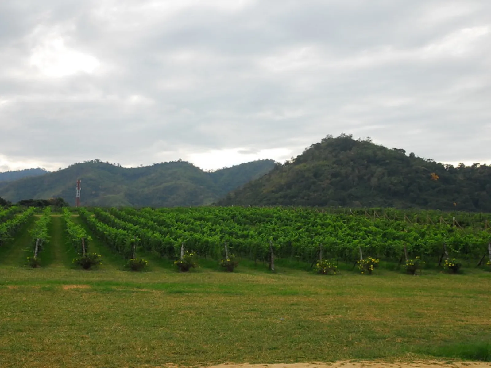 Luxury Hotel Khaoyai | Lacol Khaoyai Experiences